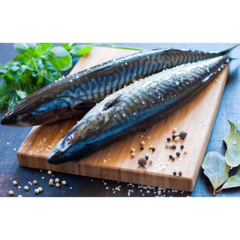 Vente de poisson frais en Côte d’Ivoire