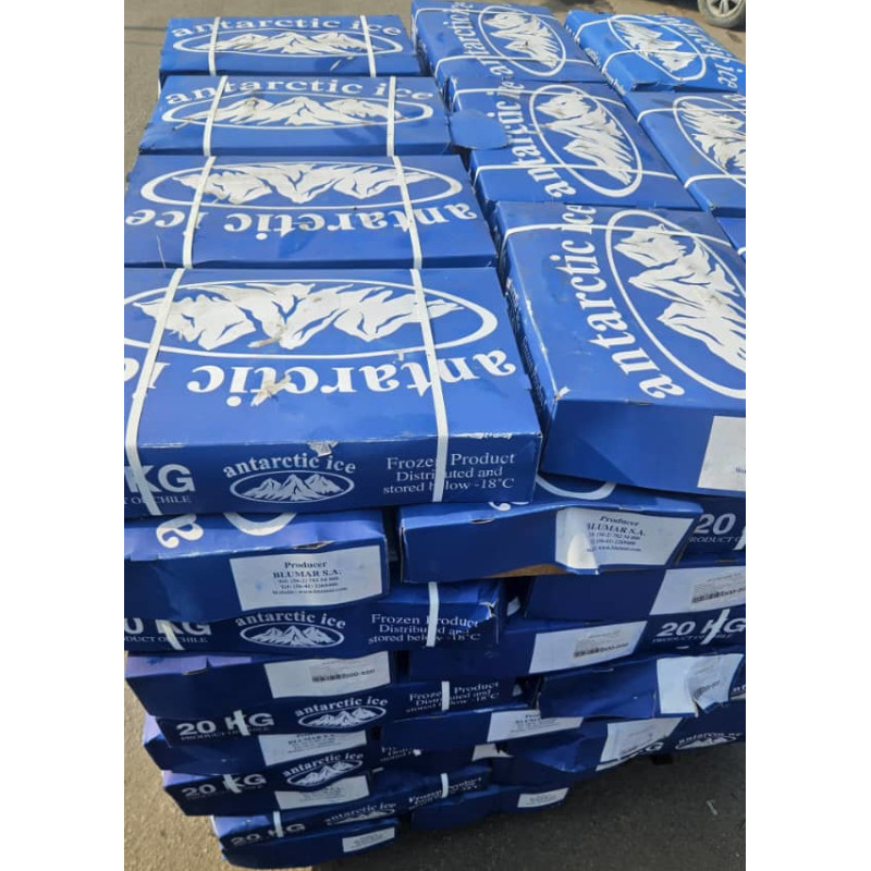 Carton de poisson chinchard (chacha) 900g+ (20kg)